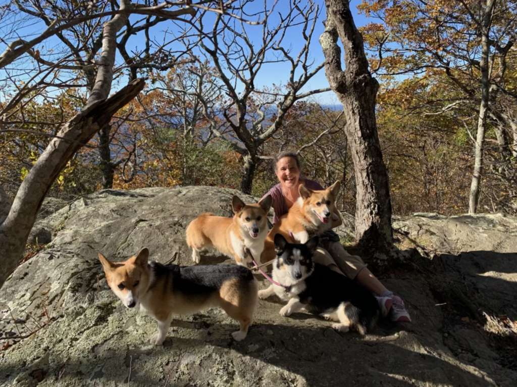 Spreading paws-itivity: Marisol Lambert brings joy, comfort to the College with weekly corgi ...