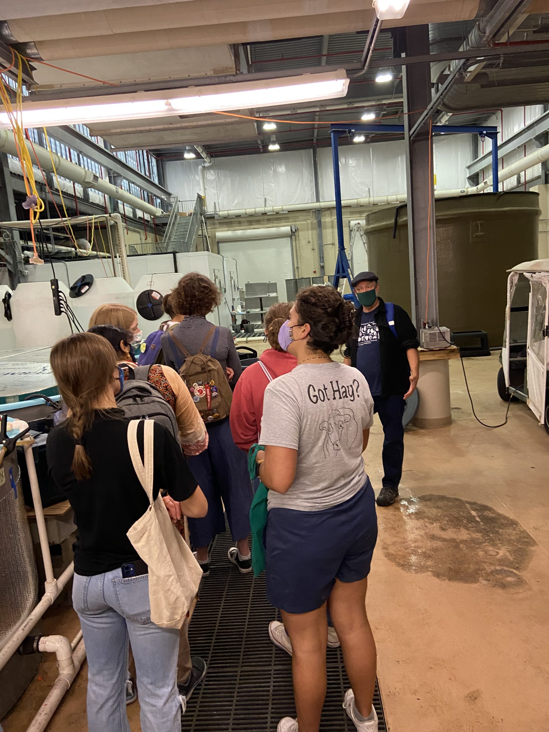 Diving into the Marine Science Society: sea-zing the day with the ...